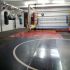 Savannah Combat Club
