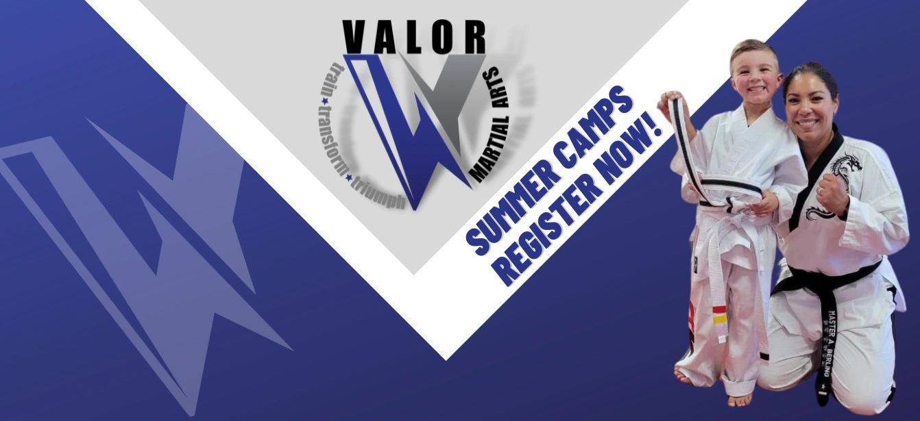 VALOR Martial Arts Georgetown and Liberty Hill