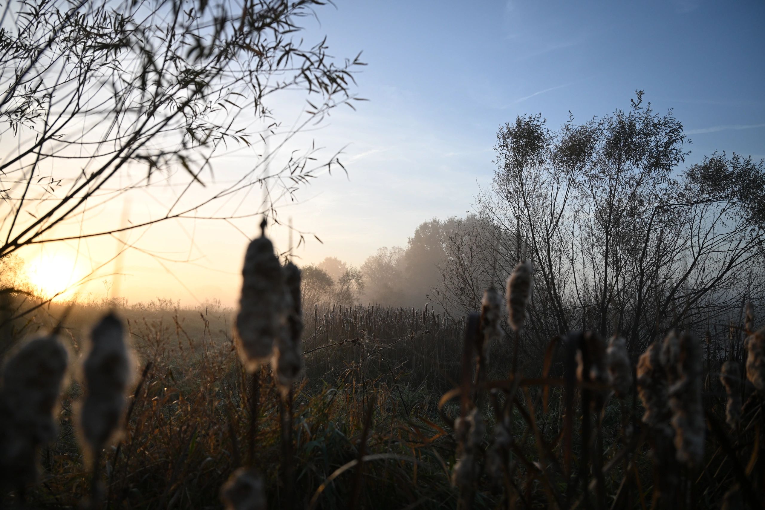 About | Bayou Ready LLC