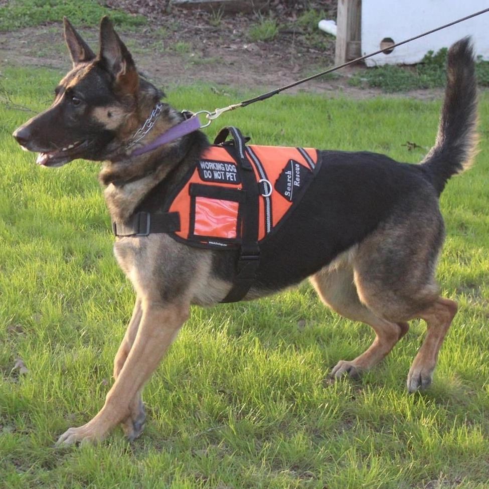 K-9 Trackers - Pet Tracker, Locating Lost Pets, Pet Detective