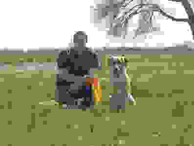 Top Gun Retrievers - Labrador Retriever, Puppies, Puppies for Sale