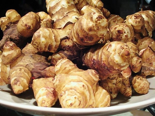 Tubers, roots, corms, and Rhizomoes