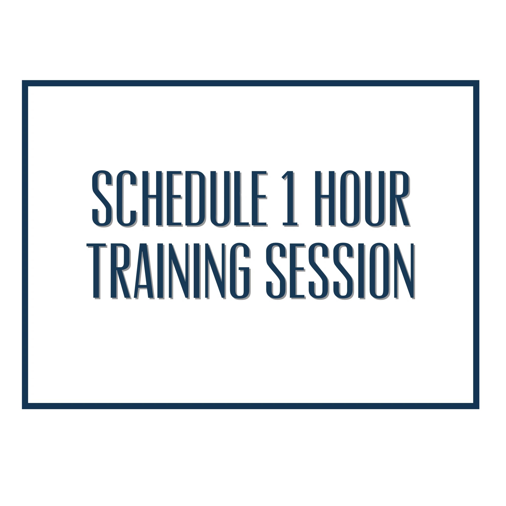 1 Hour Training Session