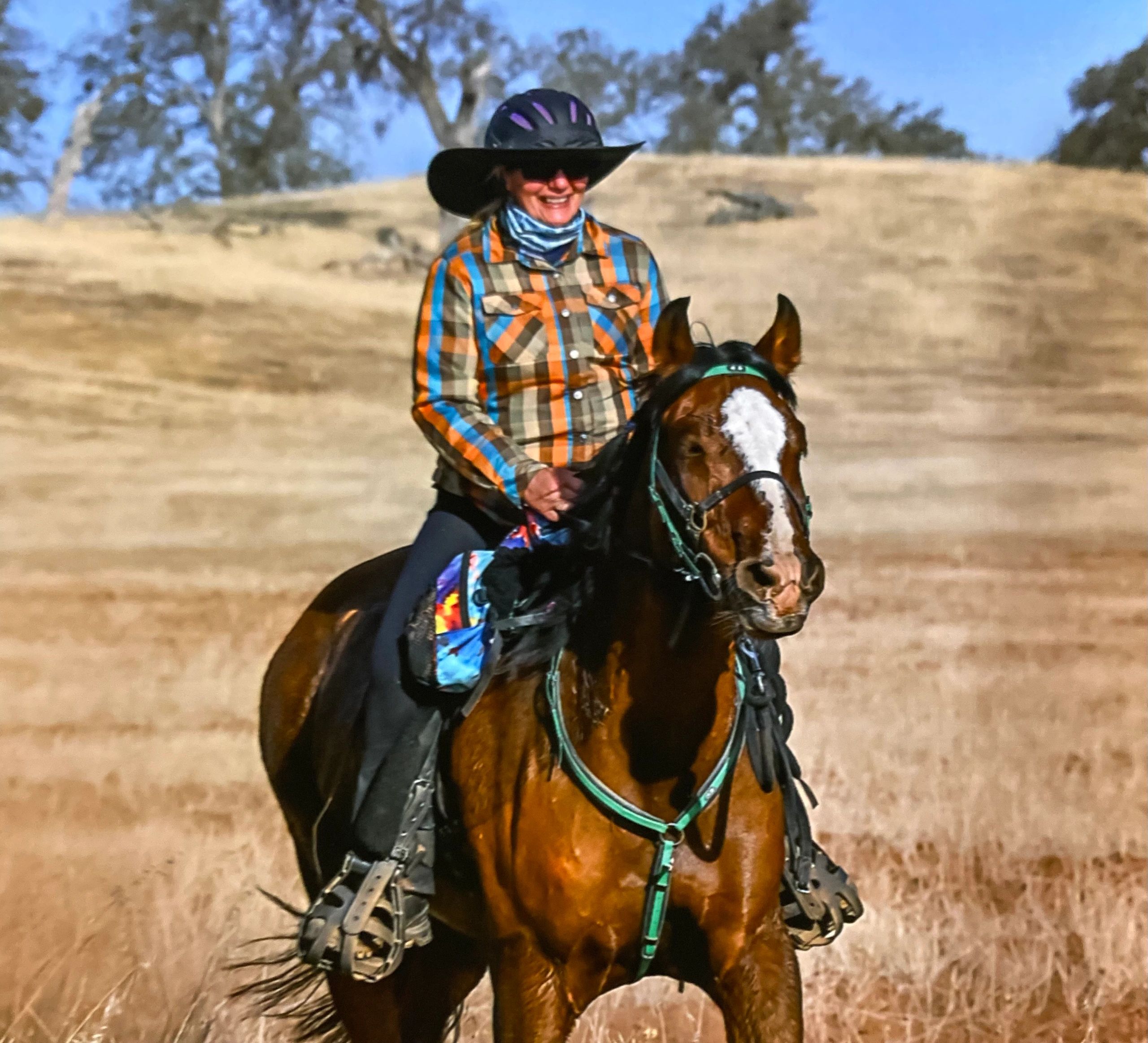 BAY AREA RIDGE RIDERS