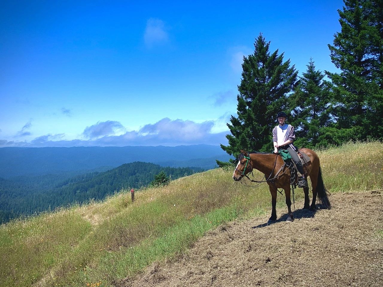 BAY AREA RIDGE RIDERS