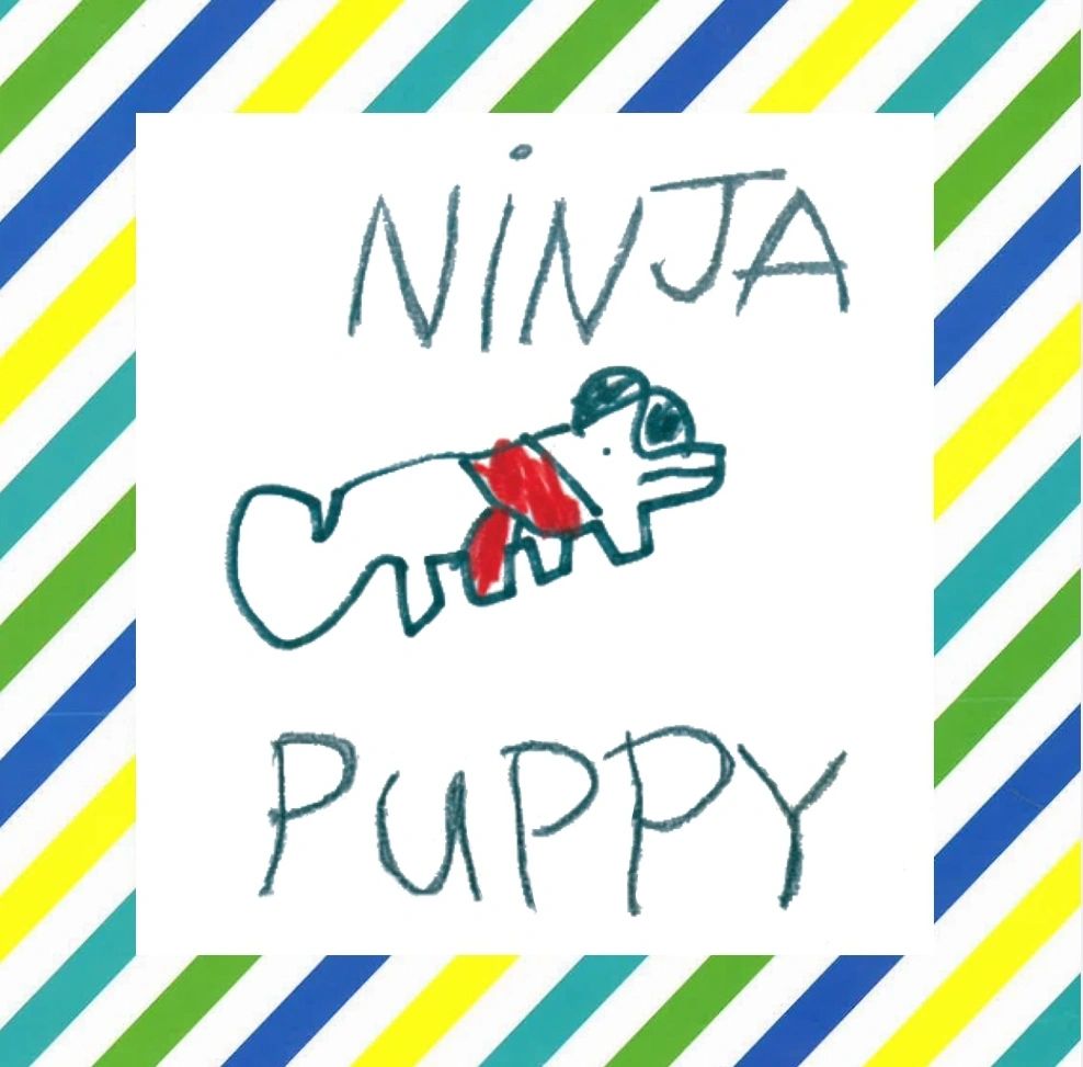 The Ninja Puppy Series | Ninja Puppy Co