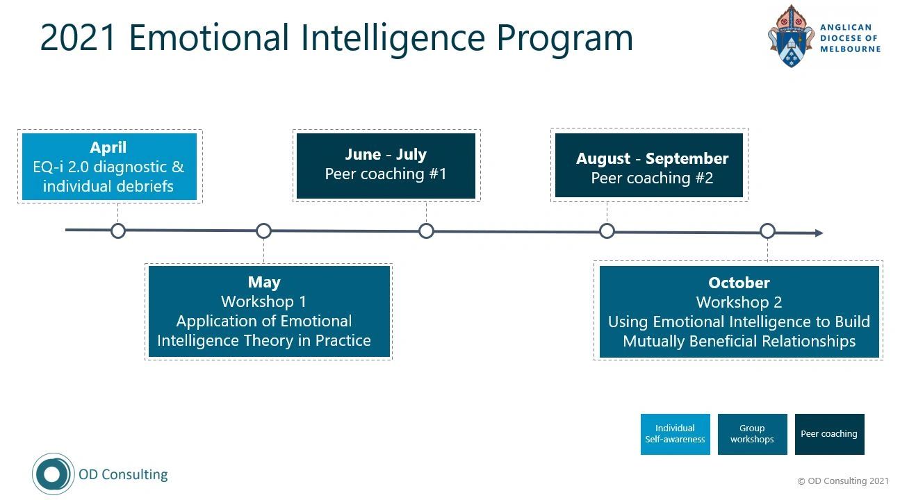 Successful Emotional Intelligence Program