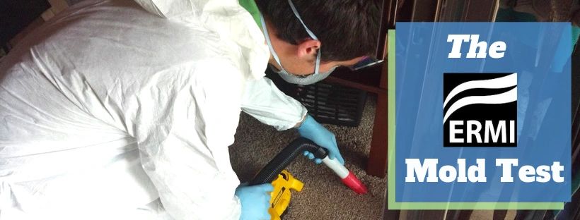 Understanding ERMI Testing: Process and Importance