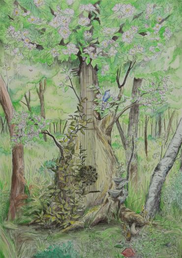 Gallery | Hannah Vale Illustrations and Art