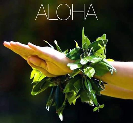 Catering San Luis Obispo - All Seasons Aloha Catering