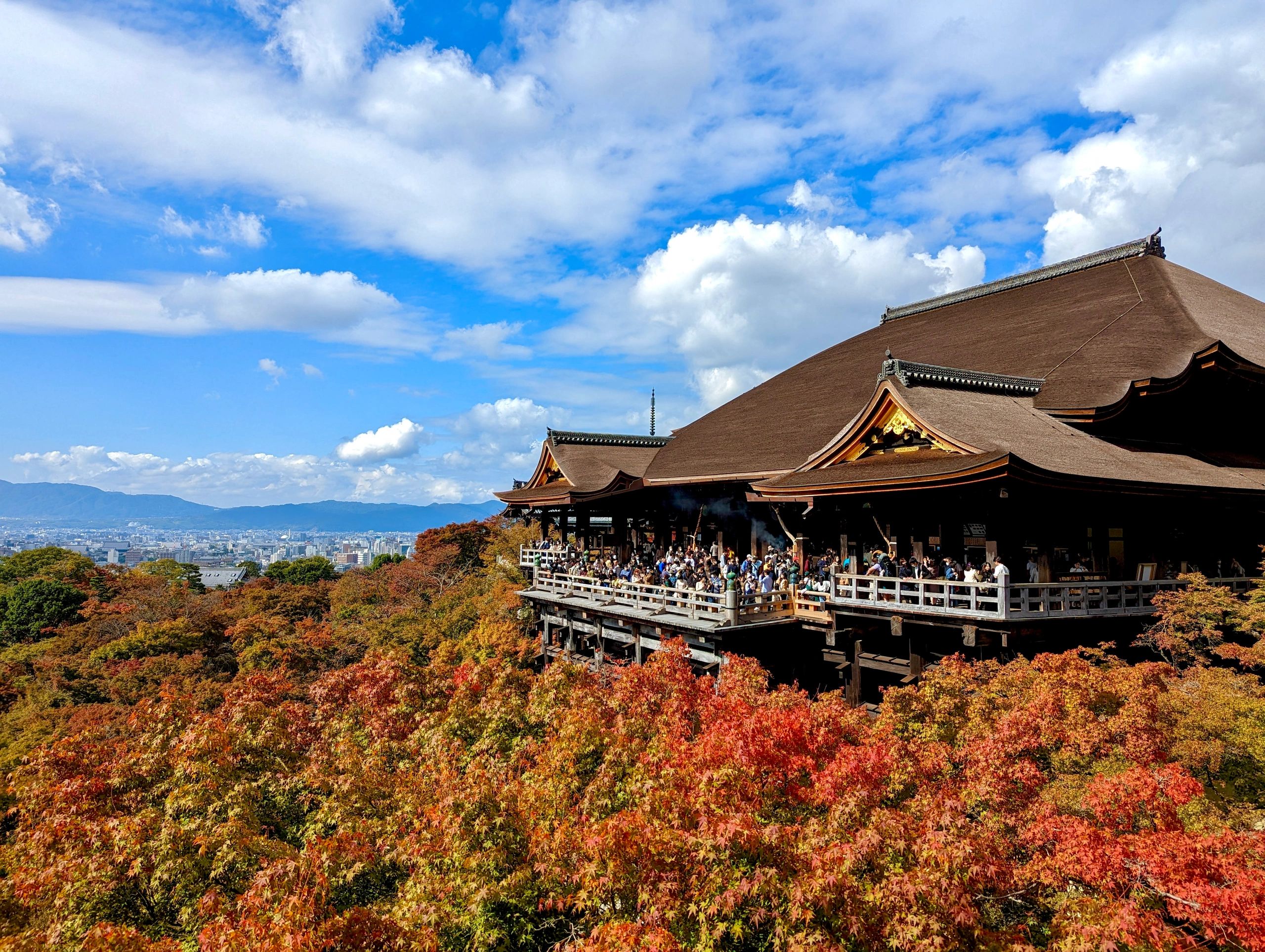 Seishin Online Japanese Learning