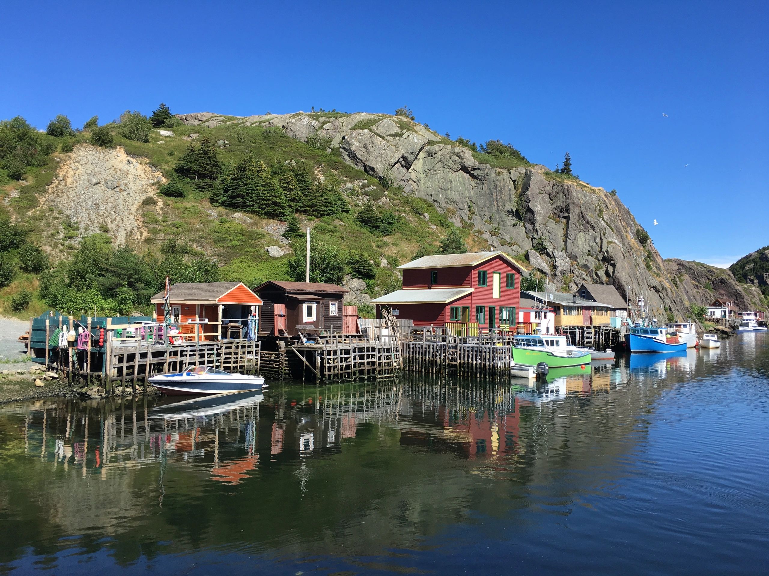 Quidi Vidi