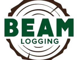 Beam Logging