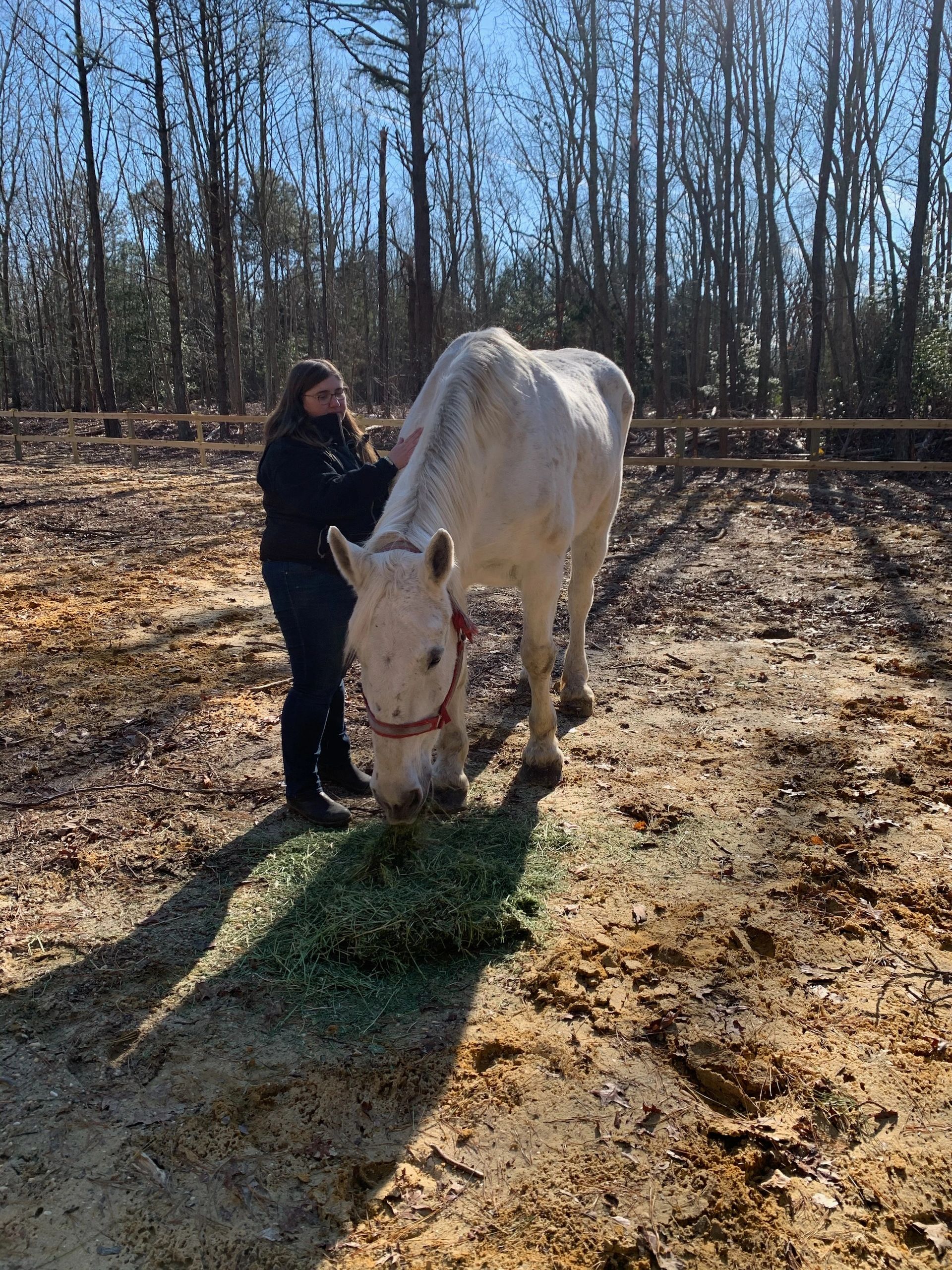 Cooperwood Equine Rescue - Nonprofit, Rescue, Horse