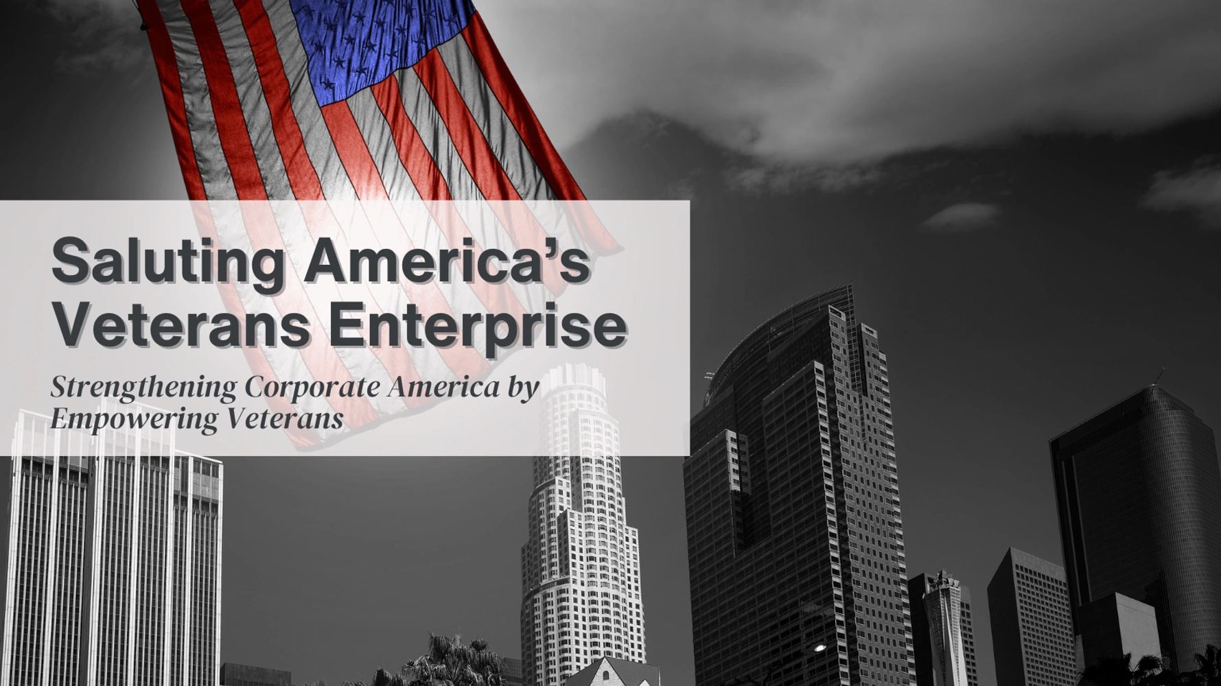 Saluting America's Veterans Enterprise SAVE