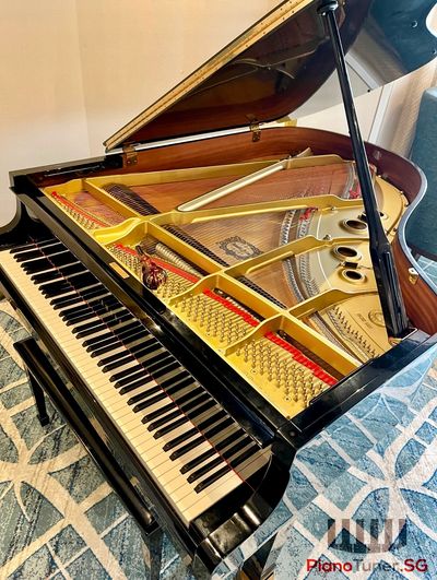 Piano Tuner Singapore - Piano Tuner, Piano Tuning