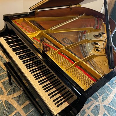 Piano Tuner Singapore - Piano Tuner, Piano Tuner Singapore