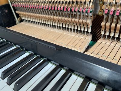 Piano Tuner Singapore - Fix Piano Keys, Piano Key Repair