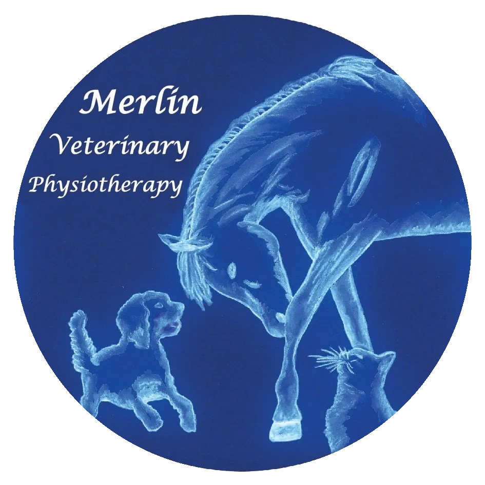 Merlin Veterinary Physiotherapy