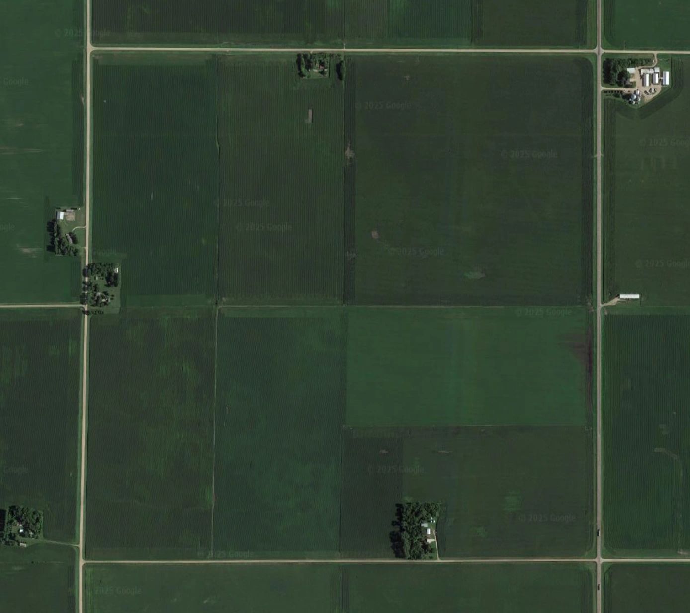 Prime Farm Land For Sale in Minnesota