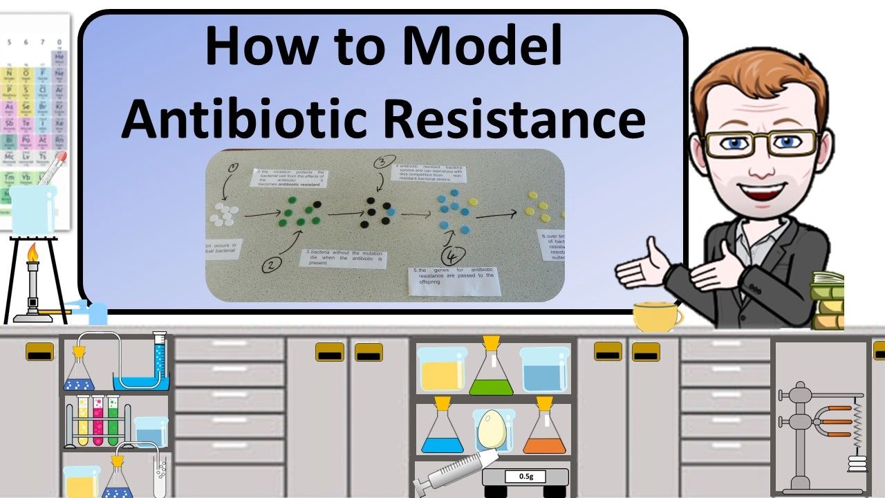 How to Model Antibiotic Resistance
