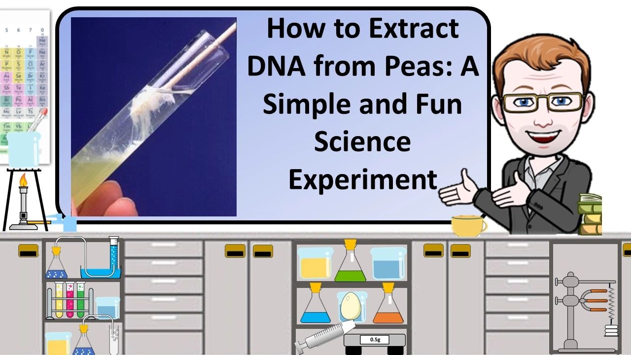 How to Extract DNA from Peas: A Simple and Fun Science Experiment