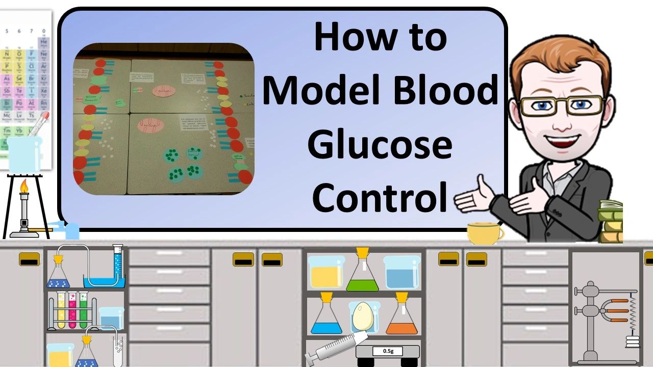 How to Model Blood Glucose Control