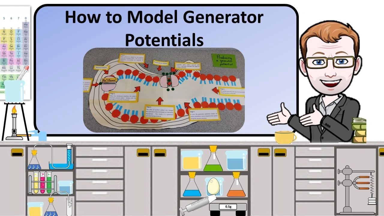 Modeling Sensory Neurons and Generator Potentials