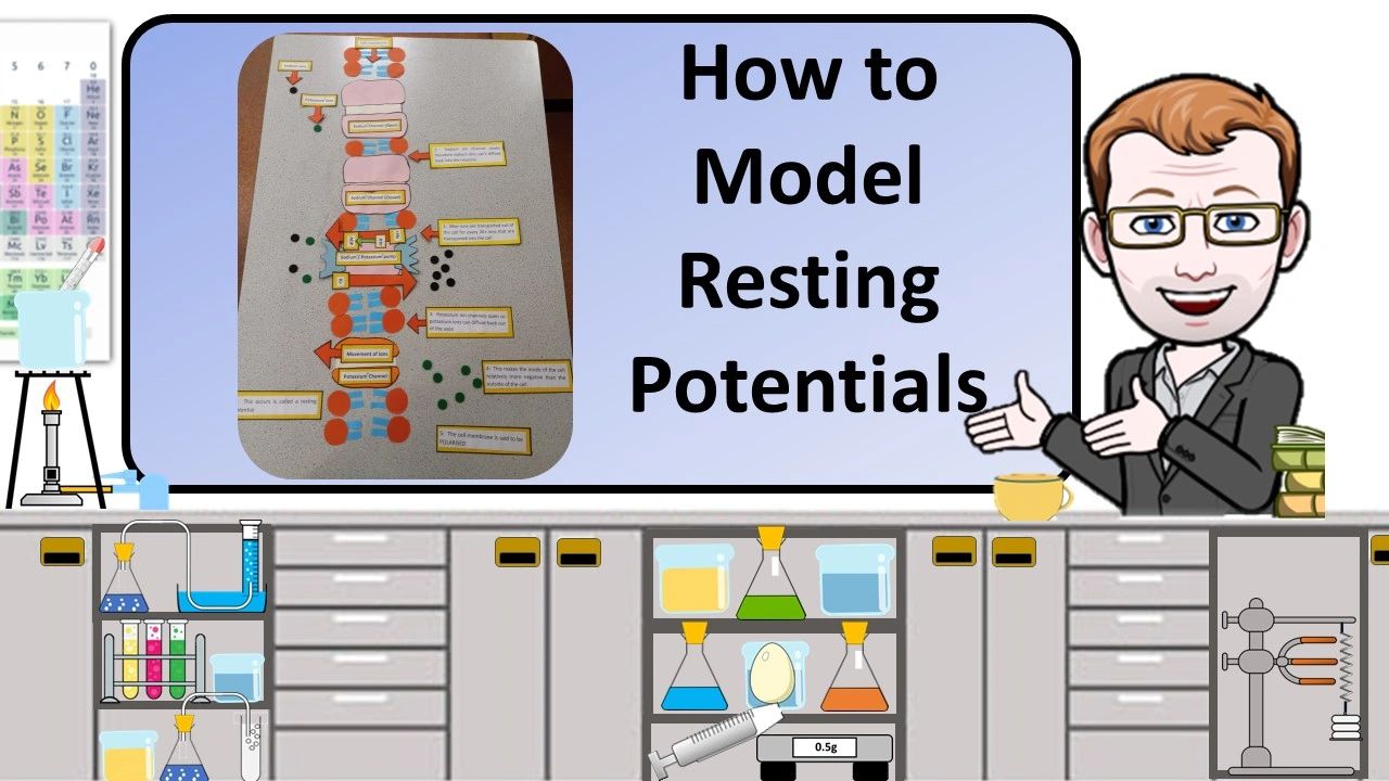How to Model the Maintenance of a Resting Potential