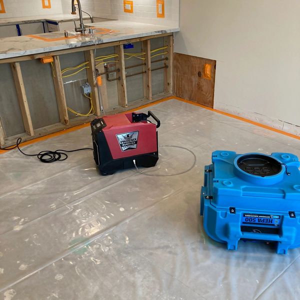 Mold Remediation And Black Mold Removal Company