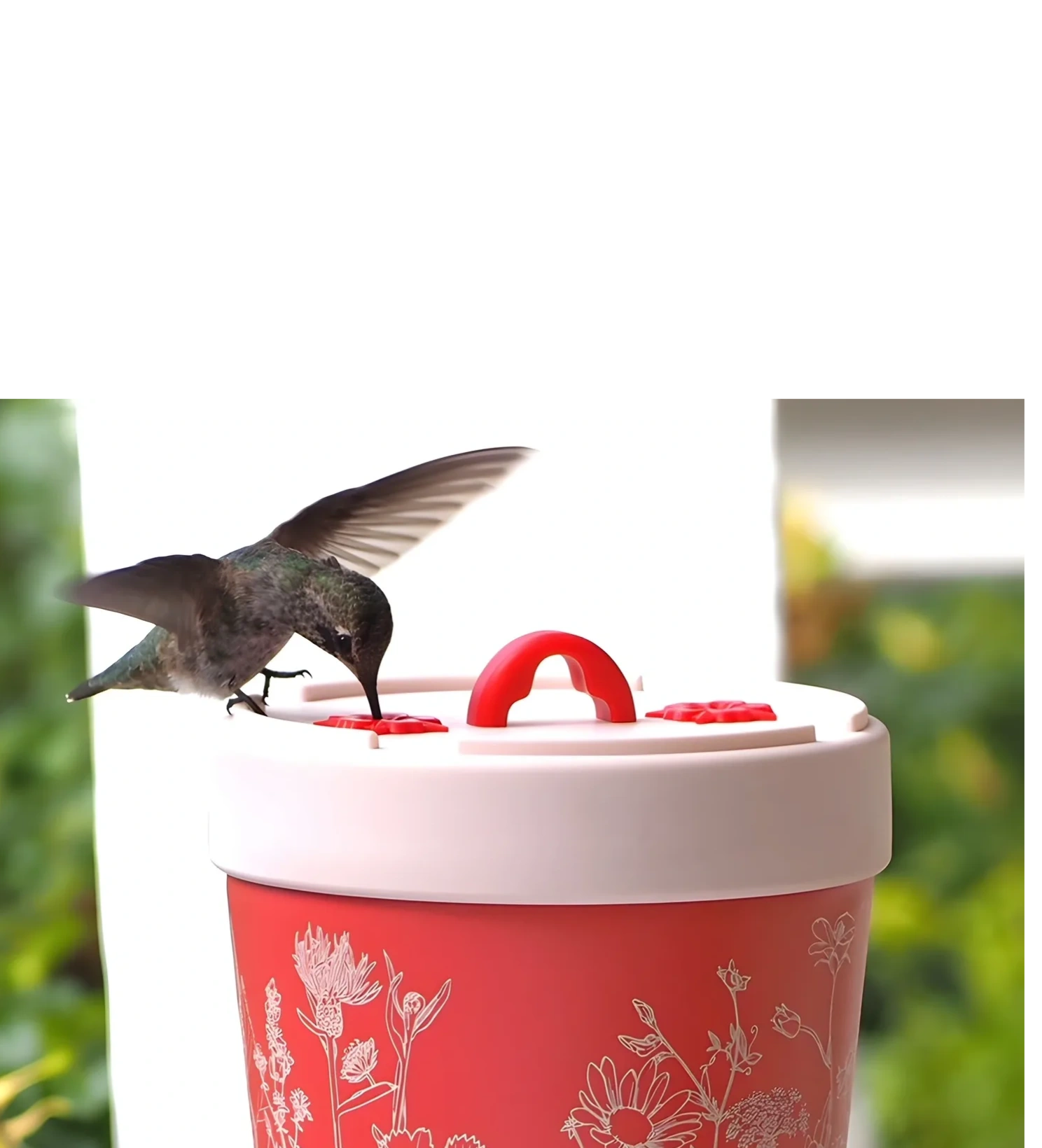 Insulated Hummingbird Feeder - Anna's Healthy Hummingbird