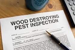 Termite Clearance Letter (Slab)