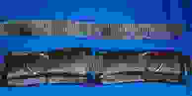 Bobby's Big Top, Inc. - Flying Trapeze, Nets, Circus Equipment