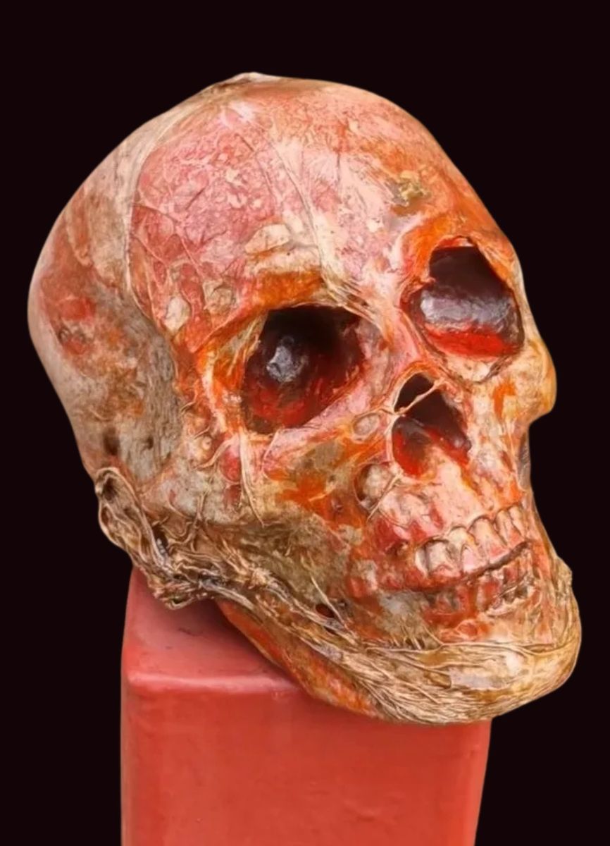 Decomposing skull prop