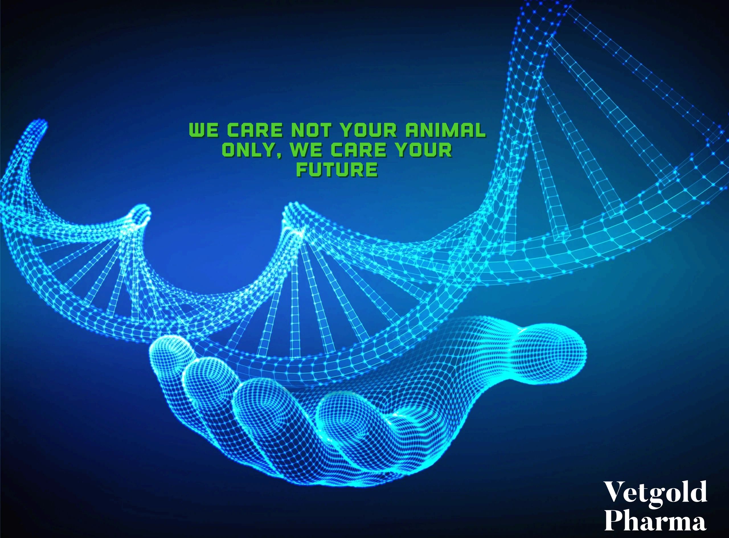 VetGold Pharma - Veterinary Medicine & Supplements, Our Own Veterinary ...