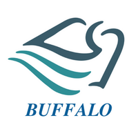 Buffalo Business Group