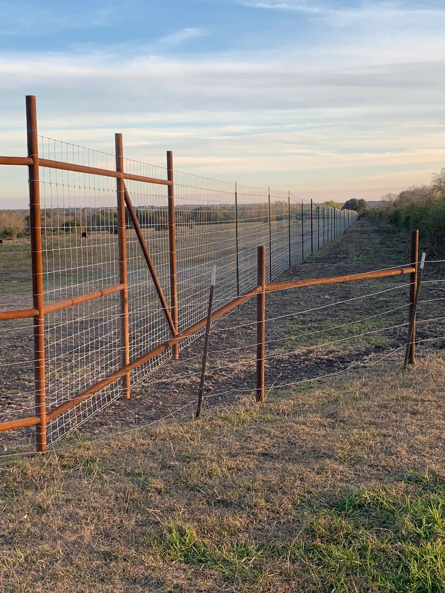 Brazos Bottom