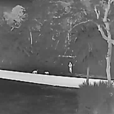 Southeast Re-Marketing Service llc dba Accuview Security Solutions