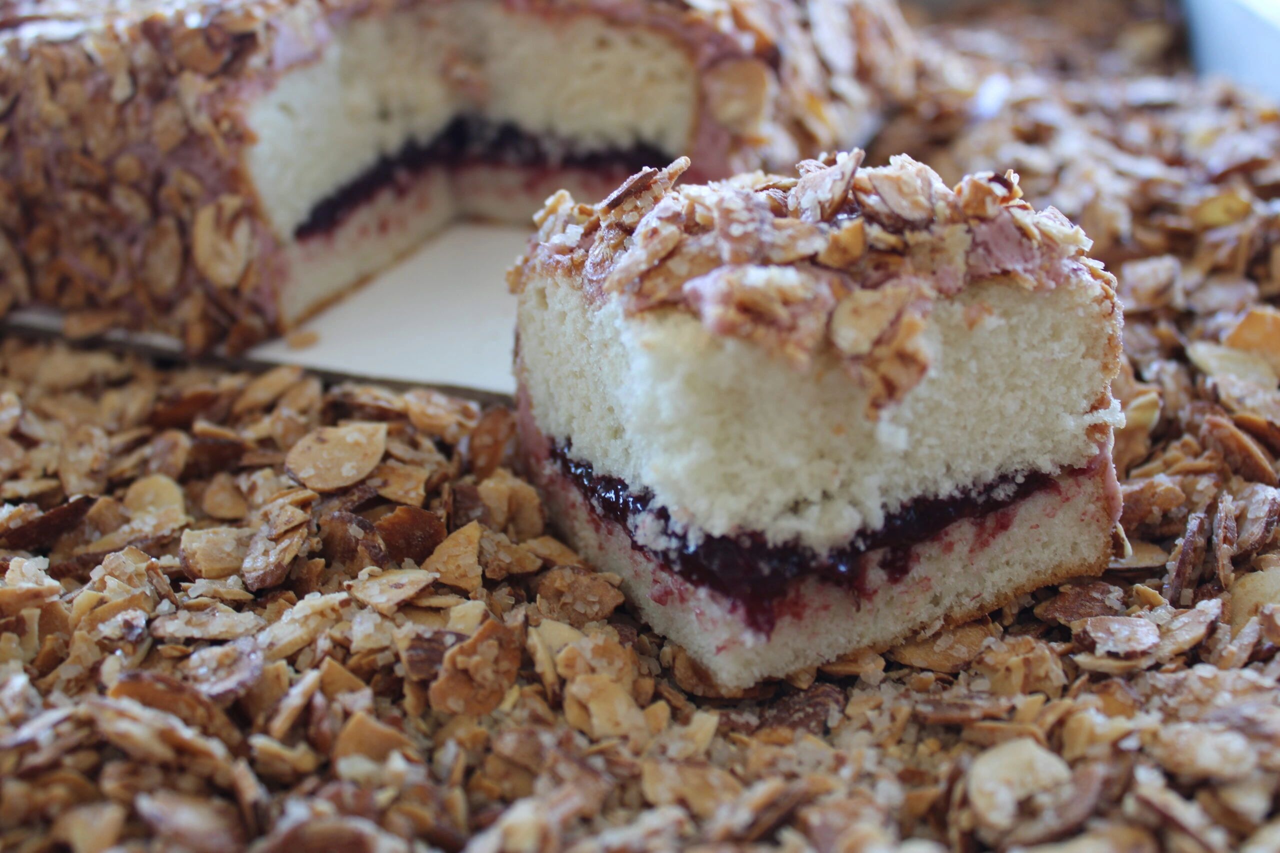 Tortes Cake From Tortes To Torts – With Sprinkles On Top