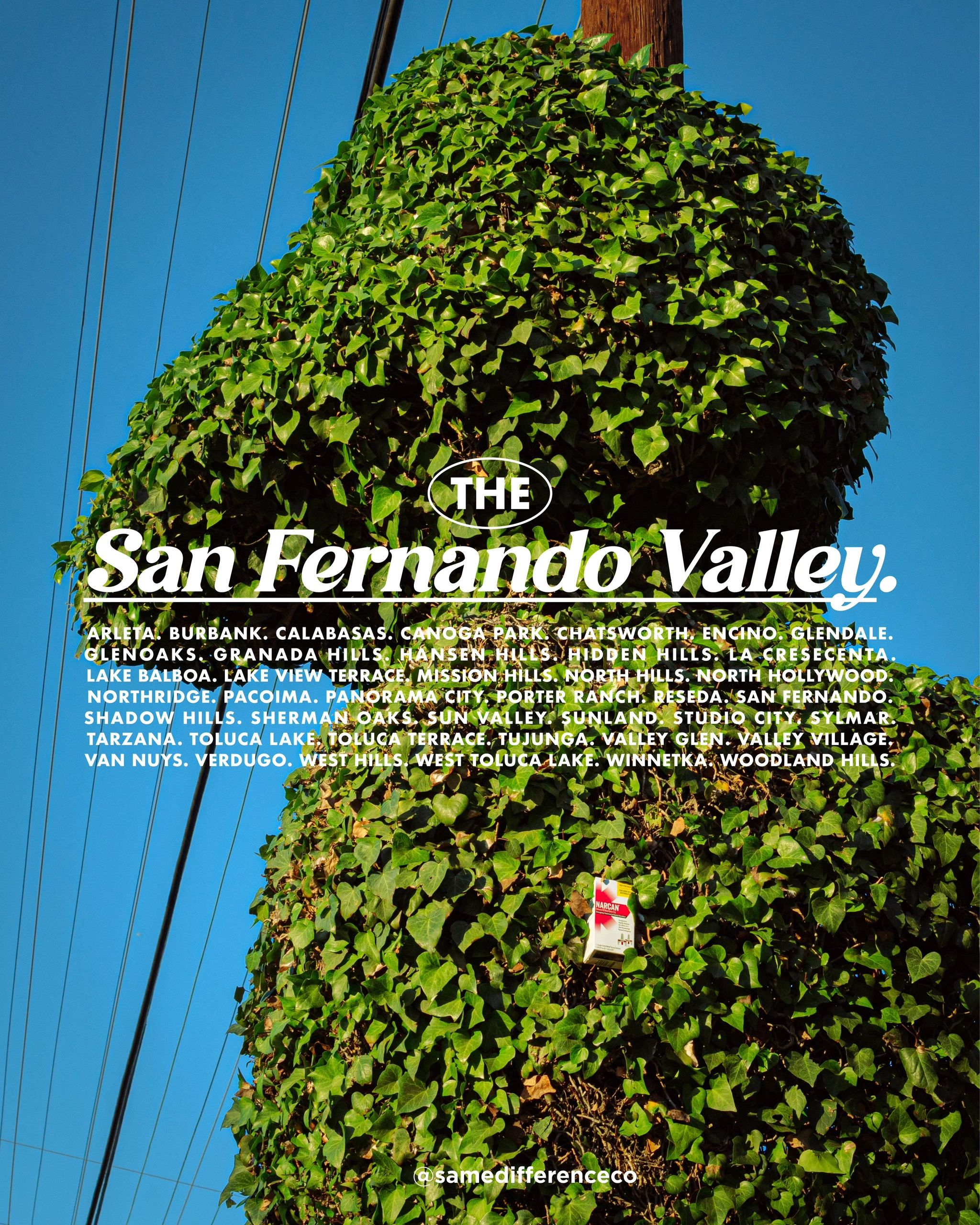 More Than a Document