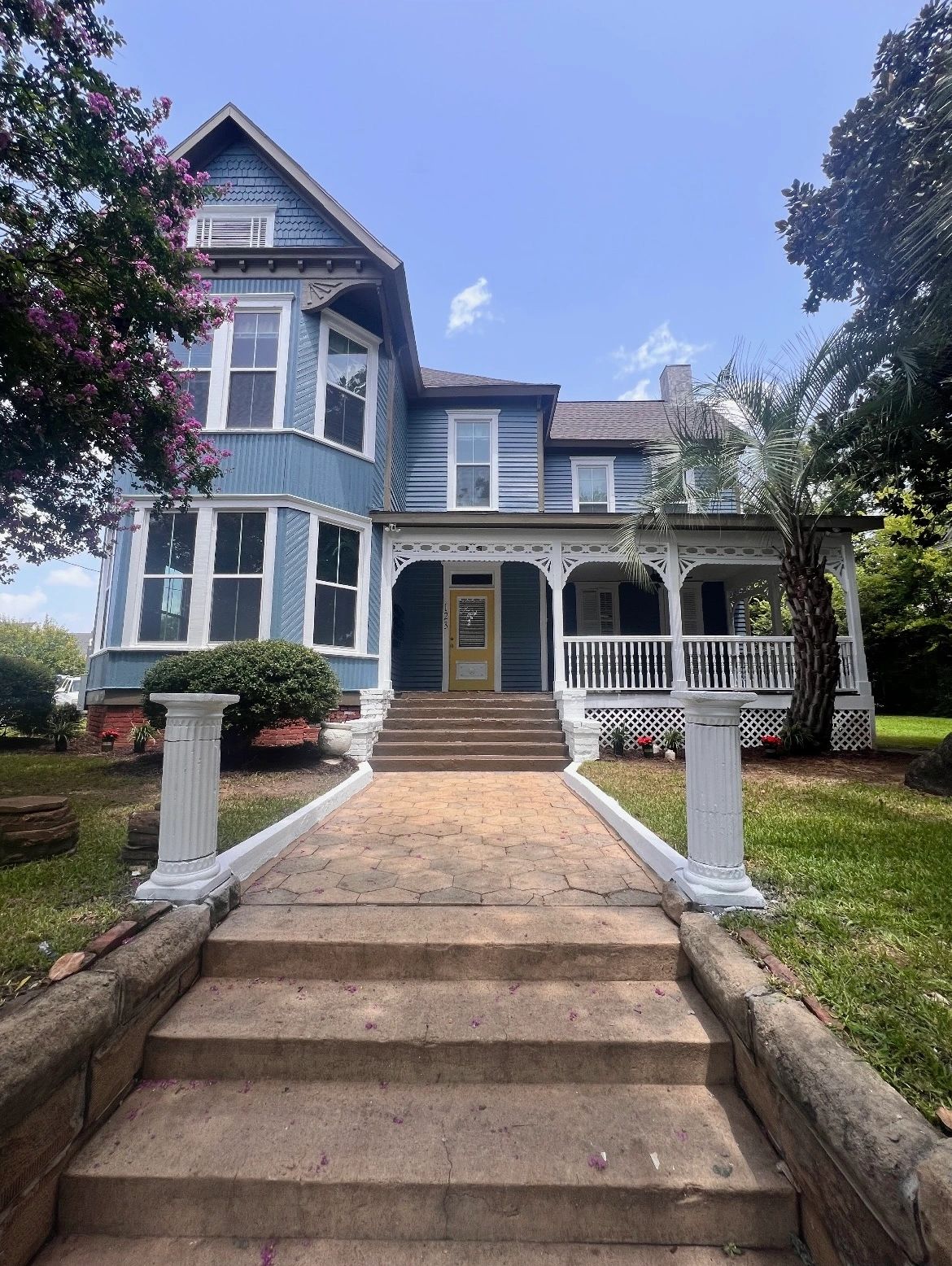 Intrepid Speech Therapy