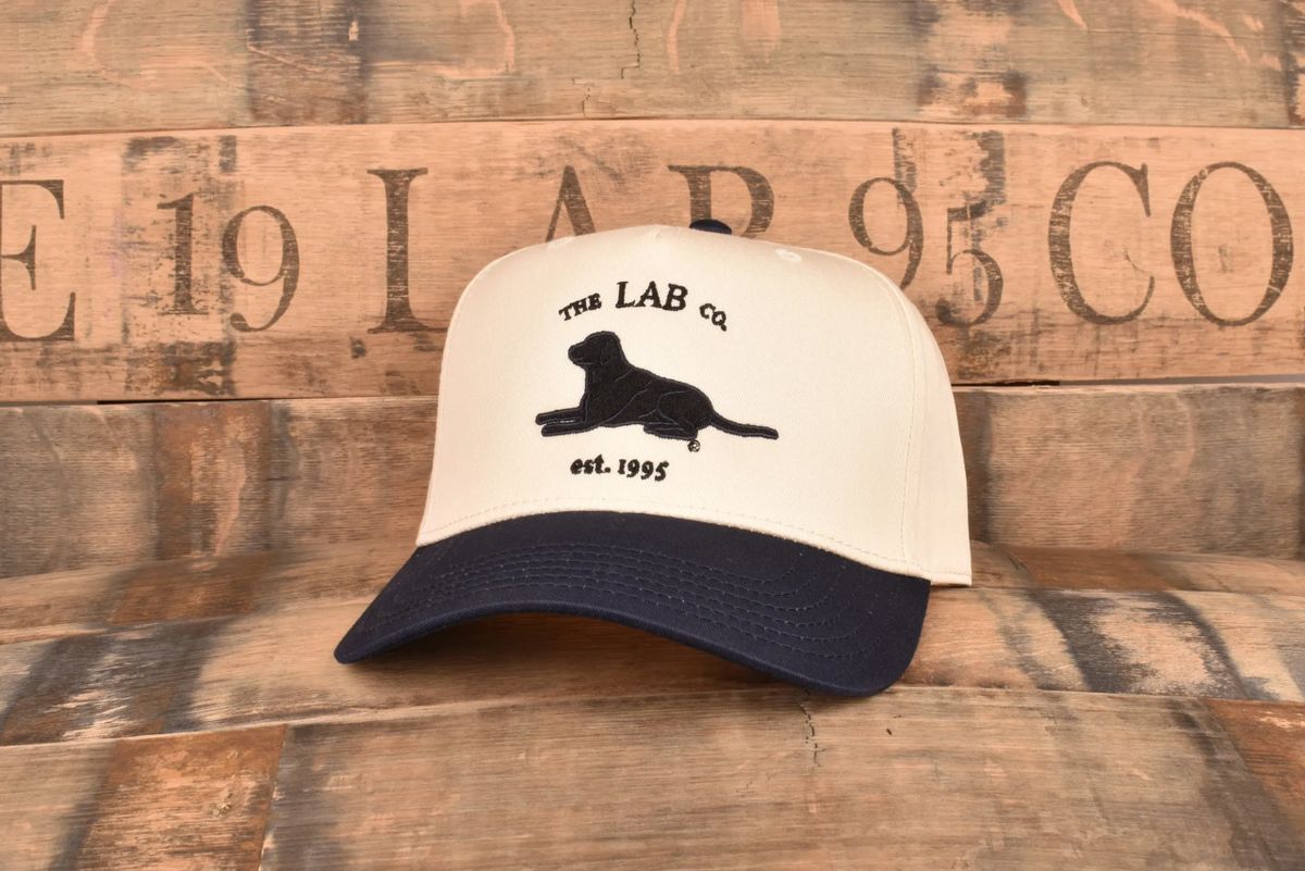 5-Panel Embroidered '95 Hat Navy Brim