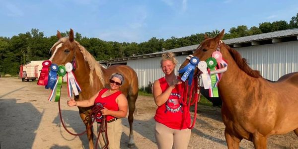 Rising Star Ranch - Horse Boarding, Horseback Riding Lessons