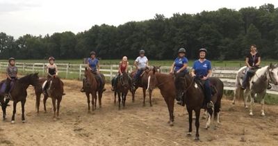 Rising Star Ranch - Horse Boarding, Horseback Riding Lessons