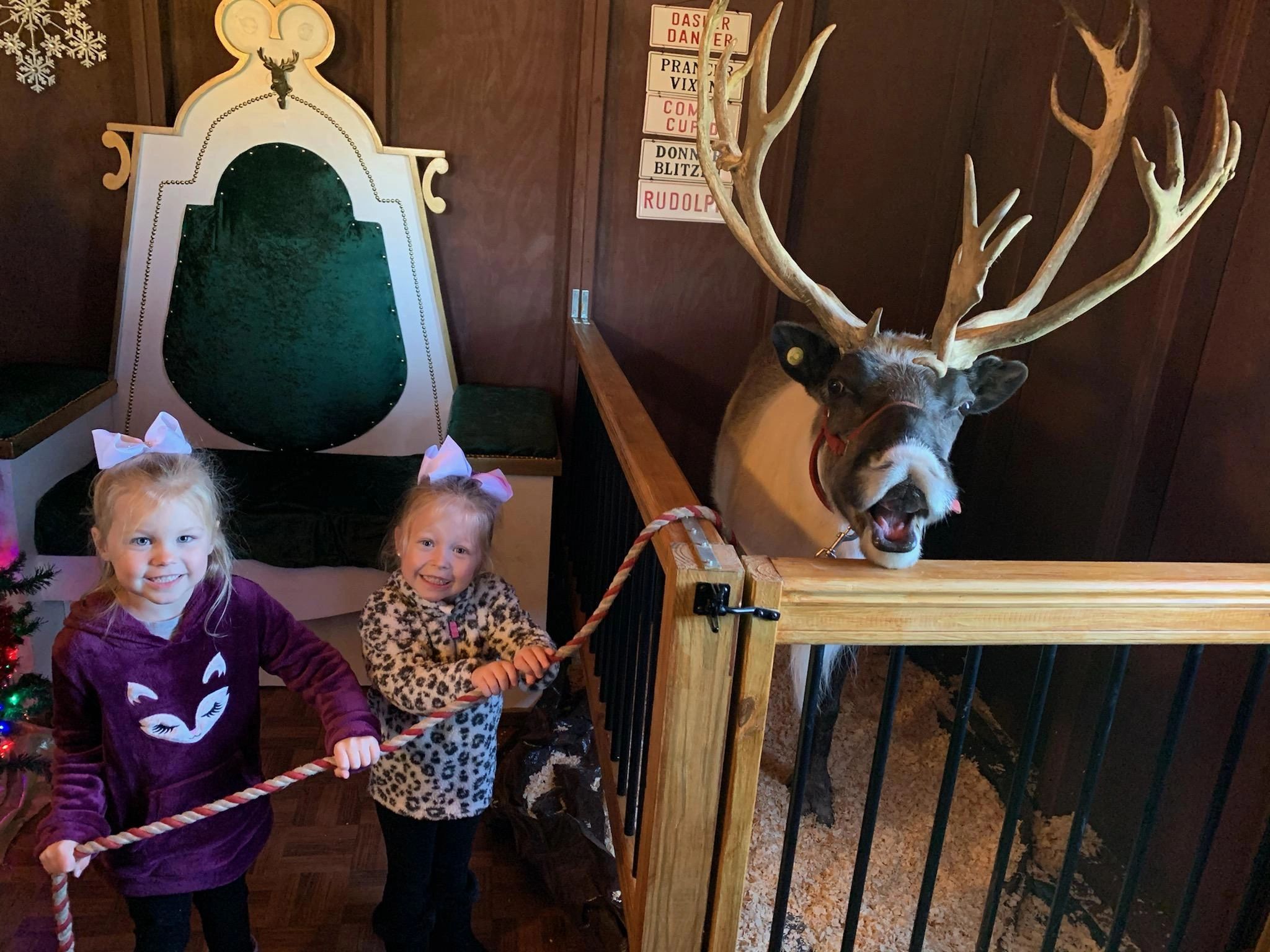 Reindeer Experiences