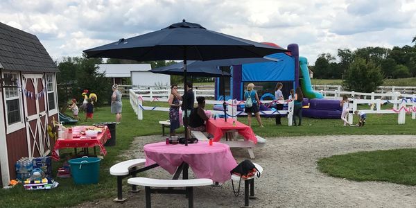 Cape Cod Equestrian Center - Birthday Parties, Pony Parties | Cape Cod ...