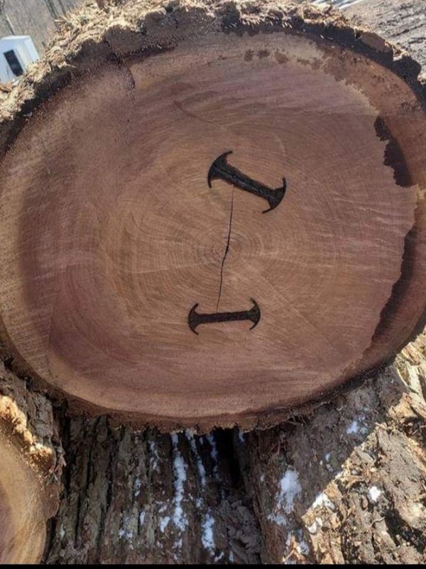 Ohio Forestry Experts - Valley View Forestry