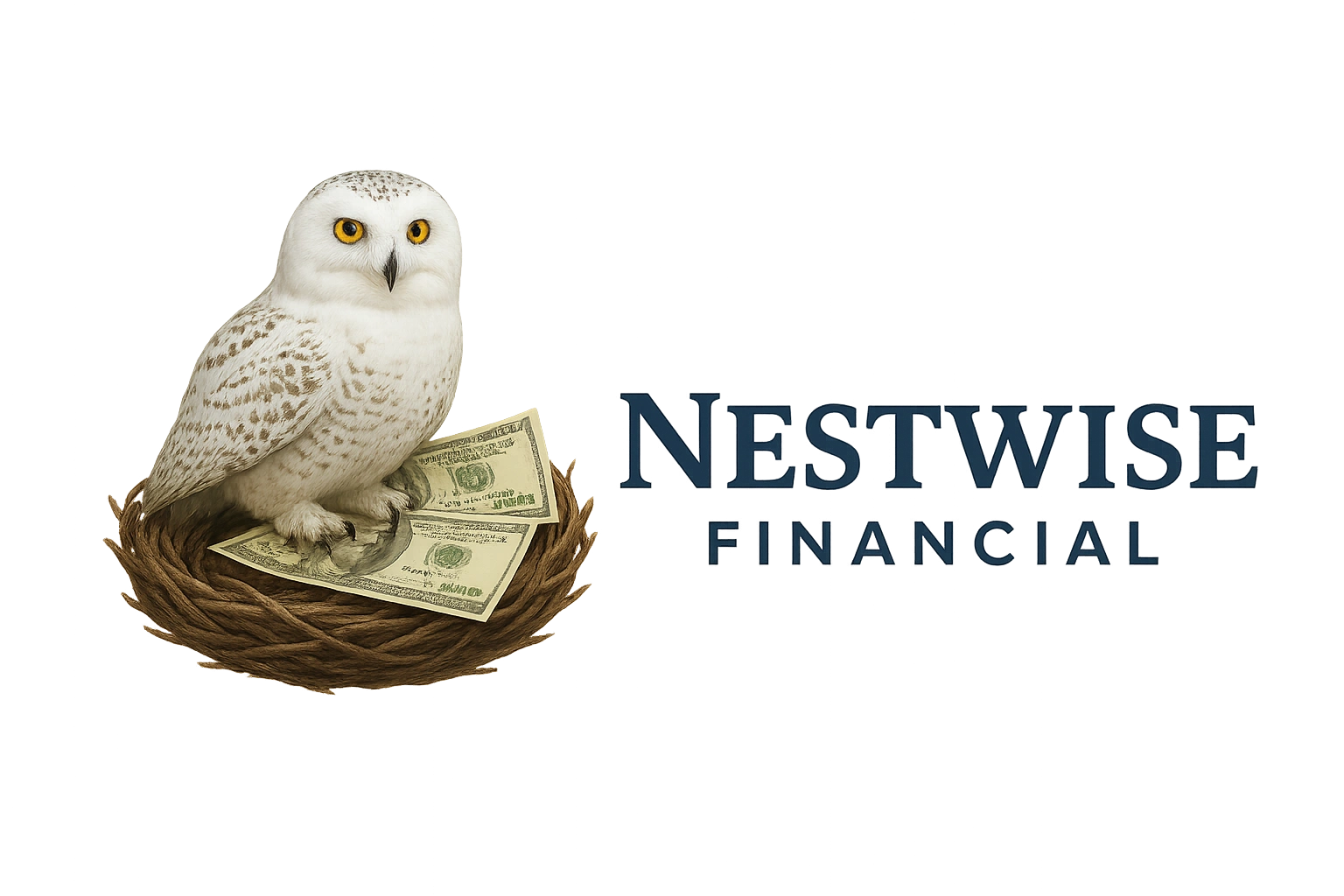 NestWise Financial