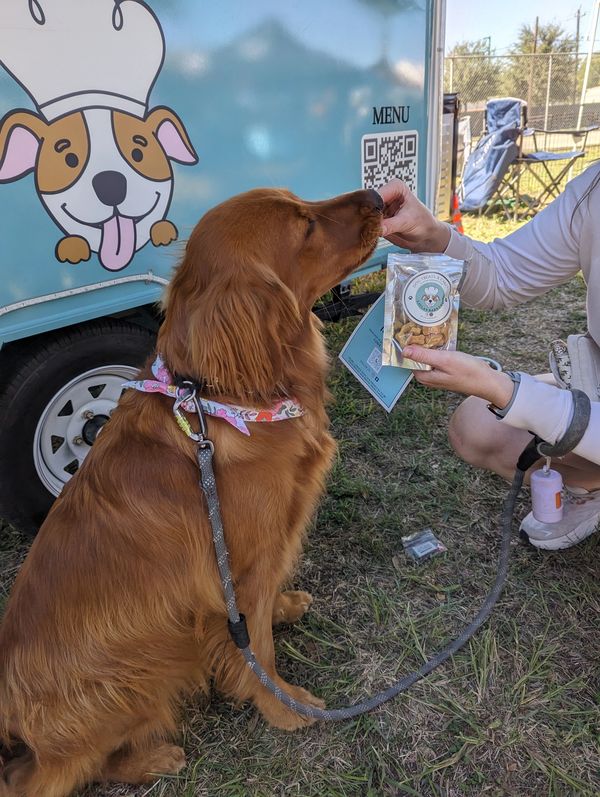 Houston Dog Bakery | Layla's Barkery Treats & Cakes