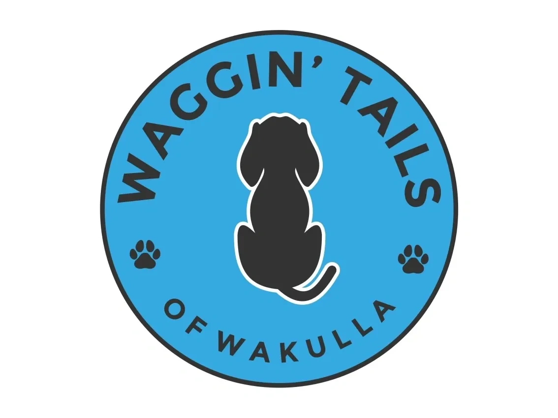 Top Doggy Daycare and Dog Boarding Services